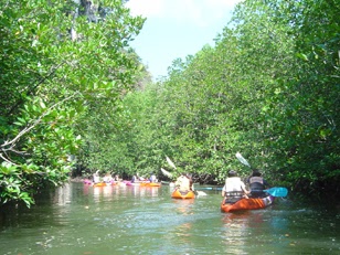 Kayaking-sample - Rainbow Lanta Travel & Tour