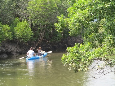 Kayaking-sample - Rainbow Lanta Travel & Tour